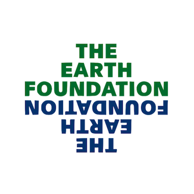 Earth Foundation - Minds Studio